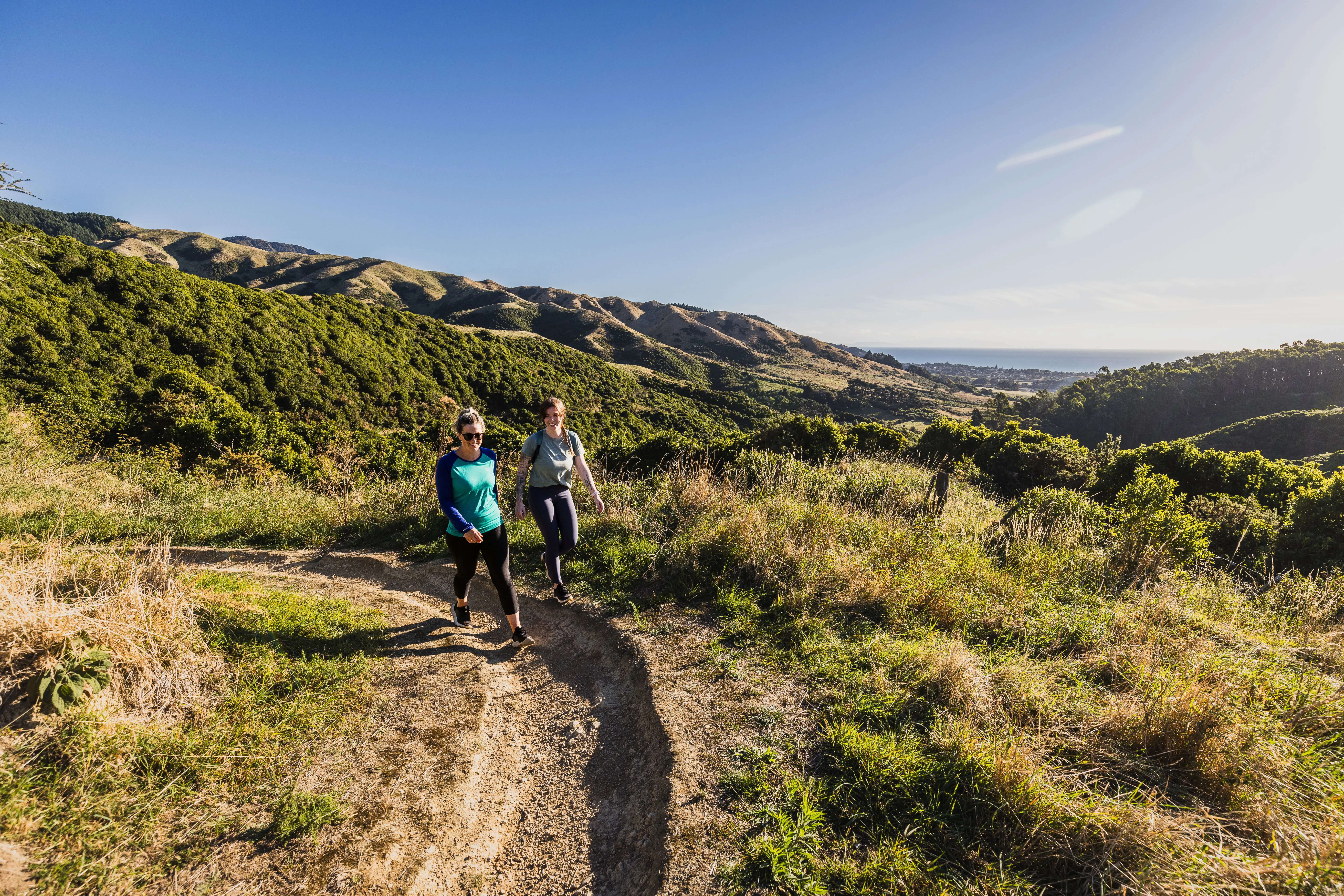 Whareroa Farm Reserve