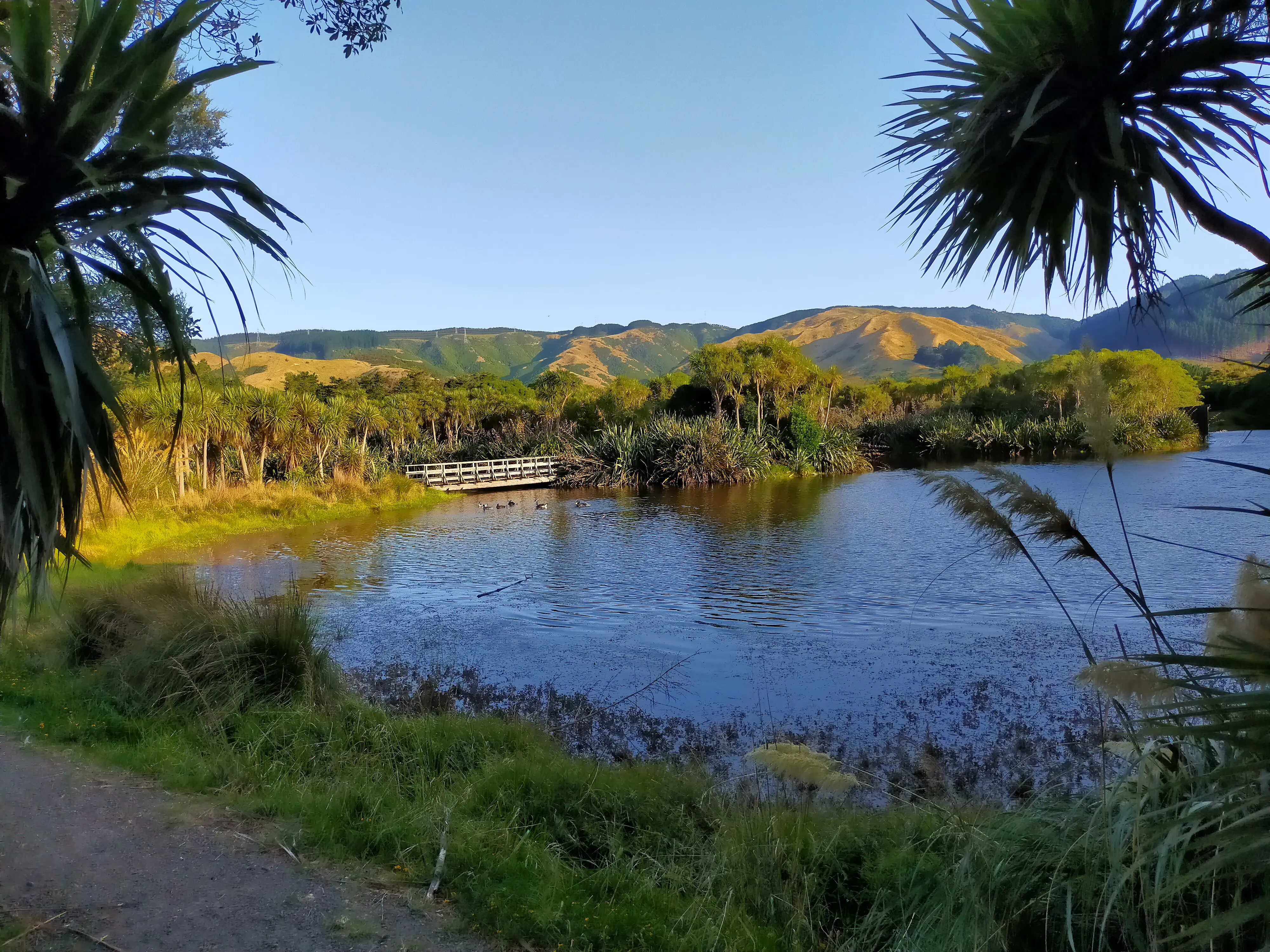 Te Ara o Tipapa (Wetland Loop)