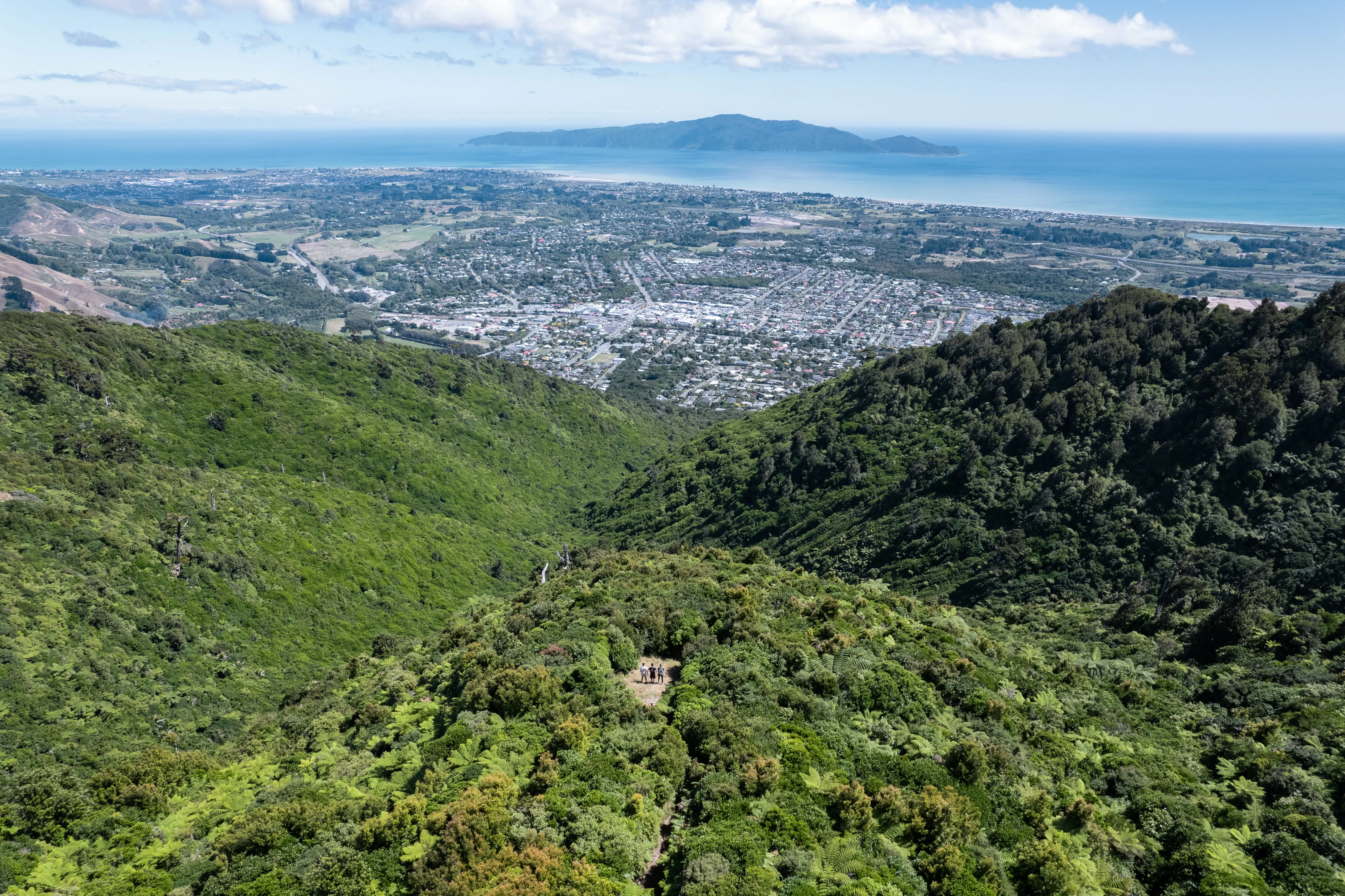 Hemi Matenga Scenic Reserve